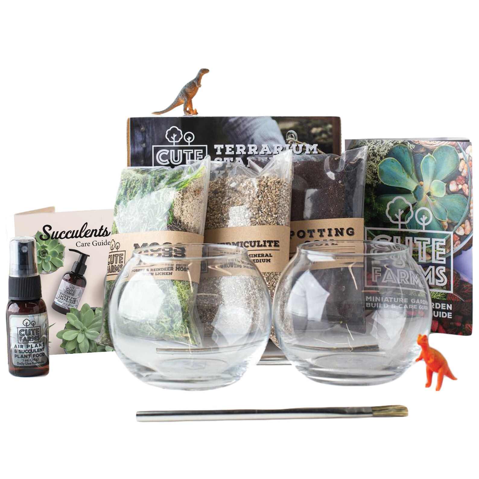 Terrarium Starter Kit DIY With Two Terrarium Glass Bowls - Etsy