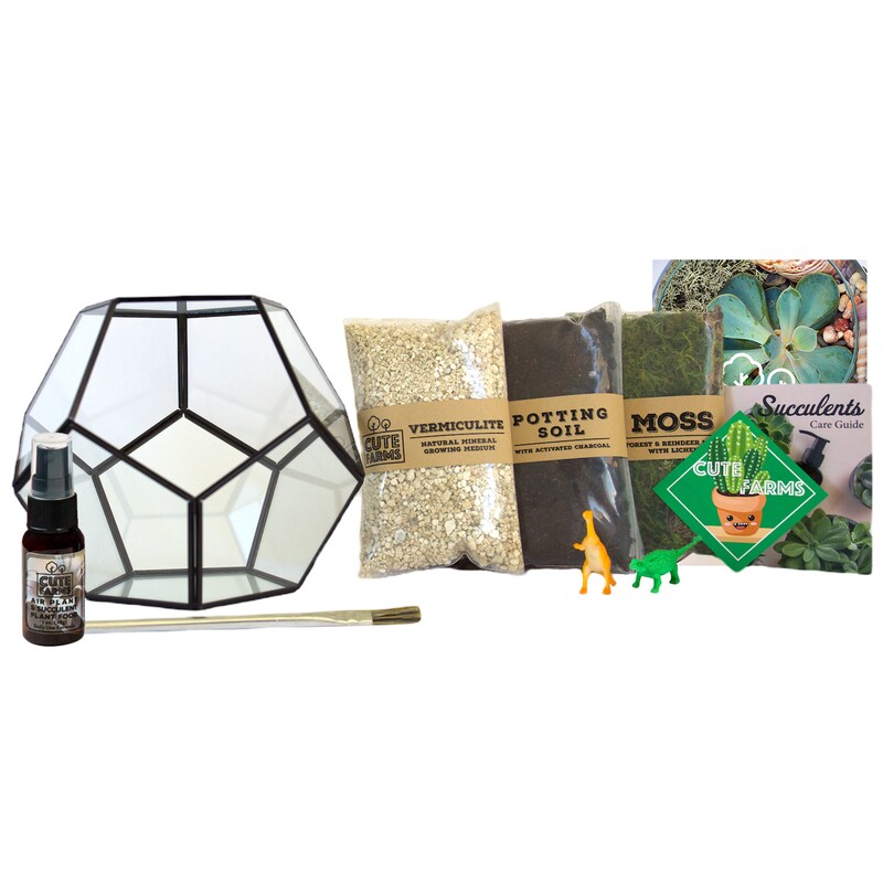 Terrarium Kit - Etsy