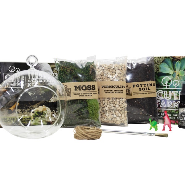 Terrarium Kit - Etsy