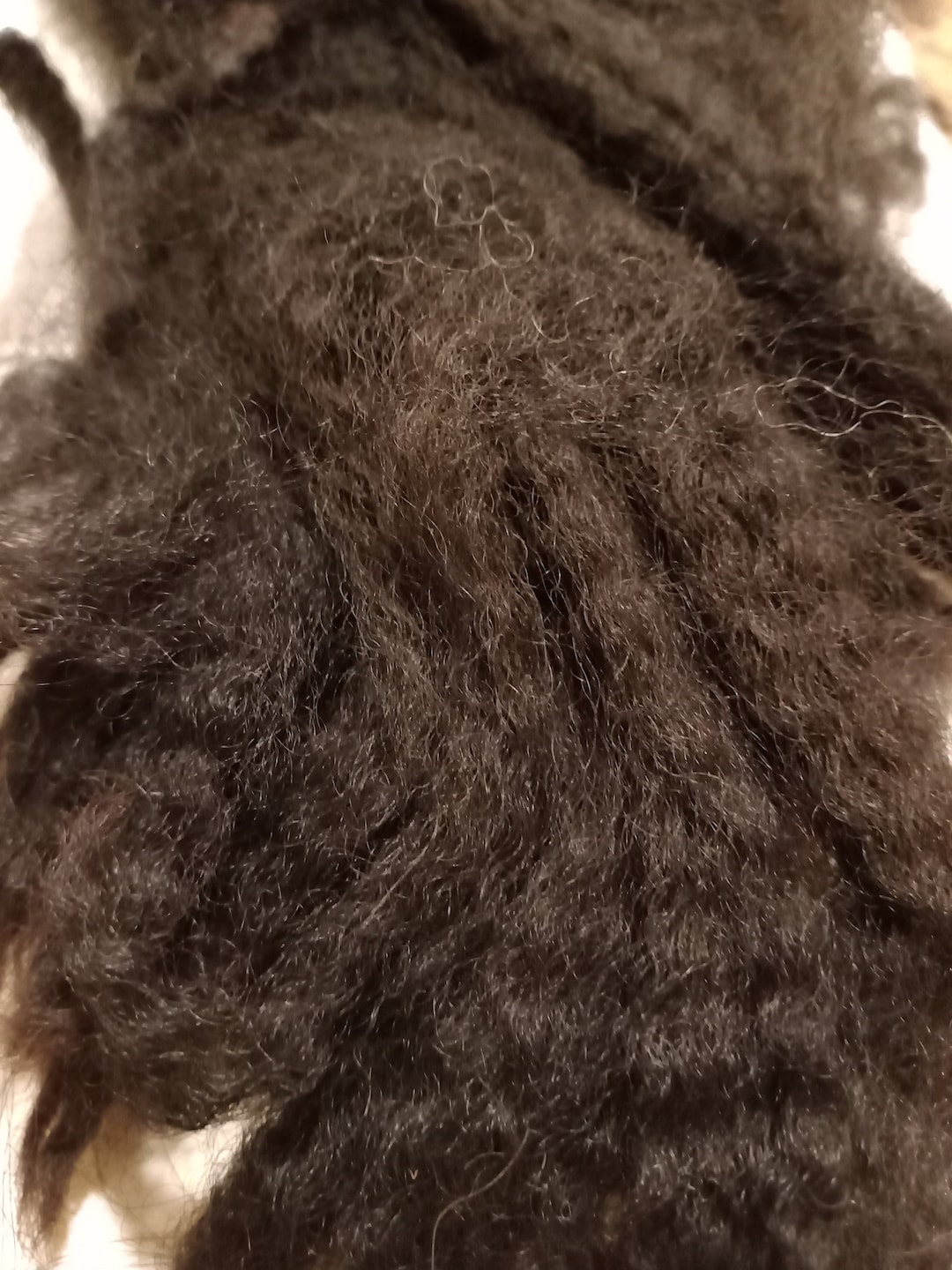 Raw Huacaya Alpaca Fiber by the Ounce True Black Beautiful Crimp ...
