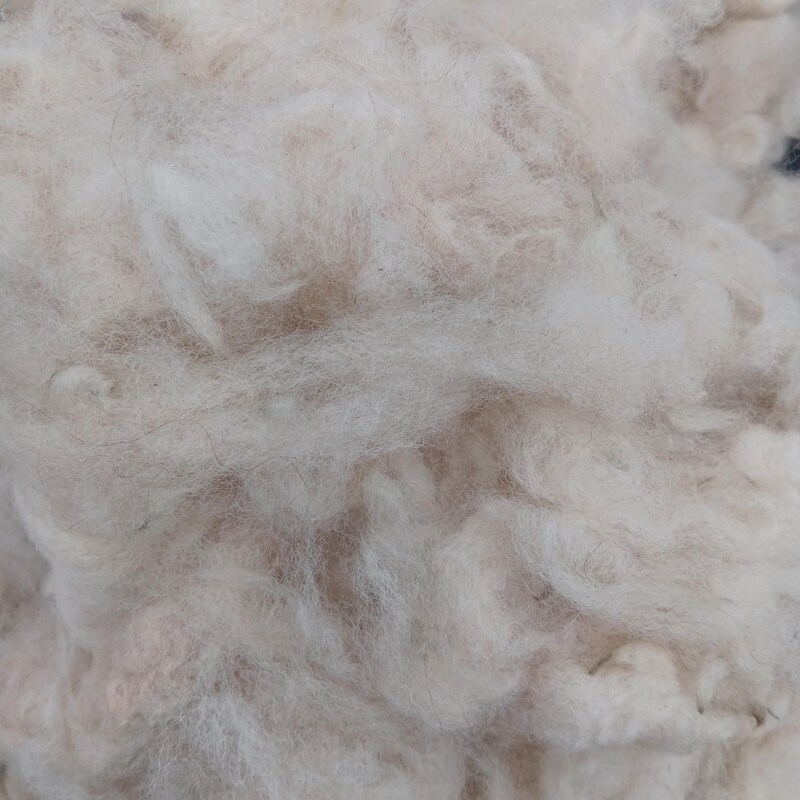 Raw Fleece for Felting - Etsy