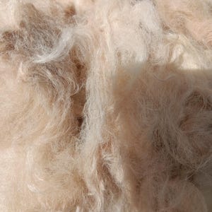 So Beautiful and Soft! Washed / Unprocessed Creamy White Huacaya Alpaca ...