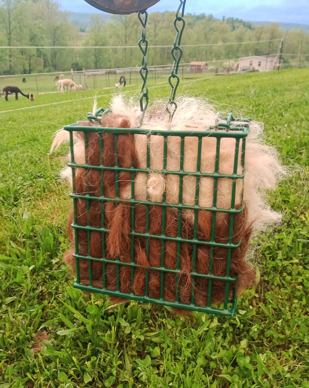 Alpaca Fiber Bird Nesting Cage: Natural Nesting Material + Refill - Etsy