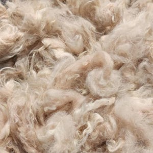 So Beautiful and Soft! Washed / Unprocessed Creamy White Huacaya Alpaca ...
