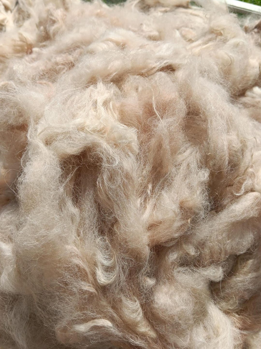 So Beautiful and Soft! Washed / Unprocessed Creamy White Huacaya Alpaca ...