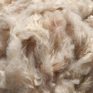 So Beautiful and Soft! Washed / Unprocessed Creamy White Huacaya Alpaca ...