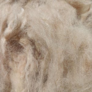 So Beautiful and Soft! Washed / Unprocessed Creamy White Huacaya Alpaca ...