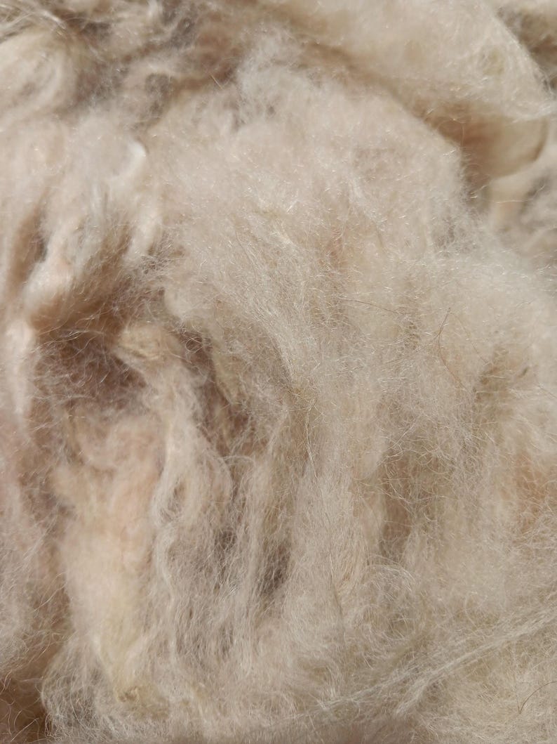 So Beautiful and Soft! Washed / Unprocessed Creamy White Huacaya Alpaca ...