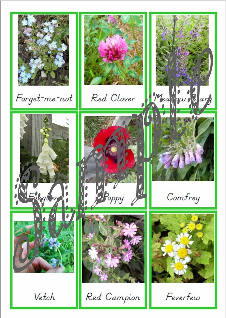 Flores IMPRIMIBLES Tarjetas de 3 partes, 27 tarjetas de nomenclatura ...