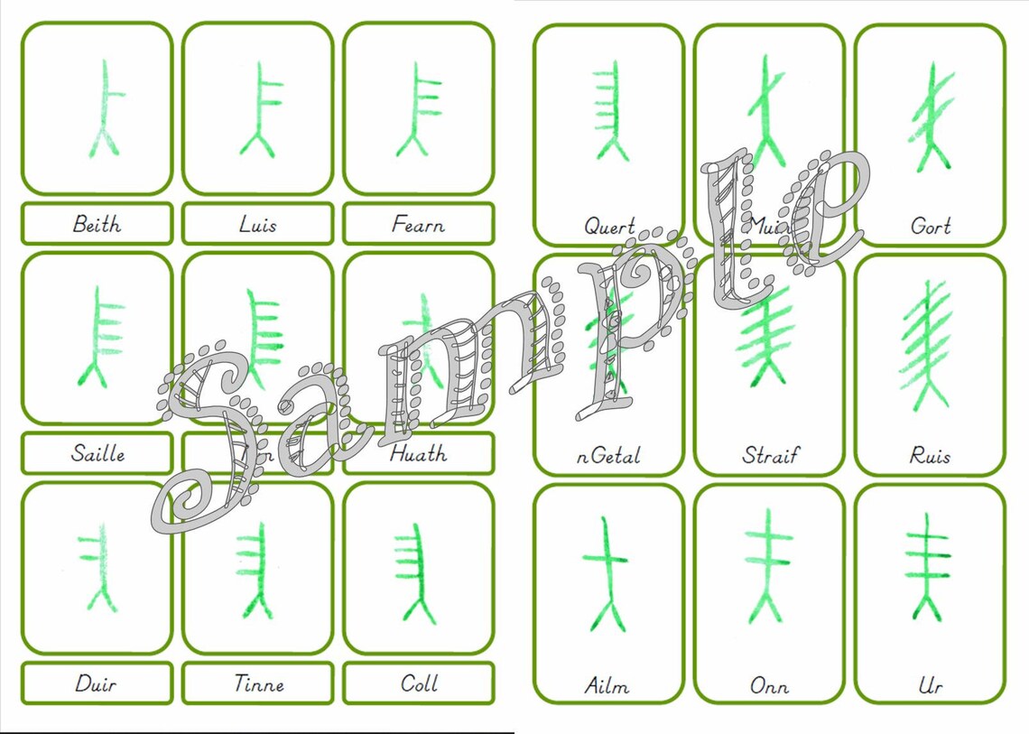 PRINTABLE Ogham 3 Part Cards. Ogham Flashcards. Ogham Nomenclature ...