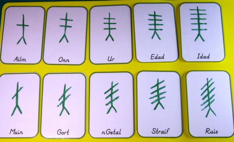 PRINTABLE Ogham 3 Part Cards. Ogham Flashcards. Ogham Nomenclature ...