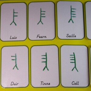 PRINTABLE Ogham 3 Part Cards. Ogham Flashcards. Ogham Nomenclature ...
