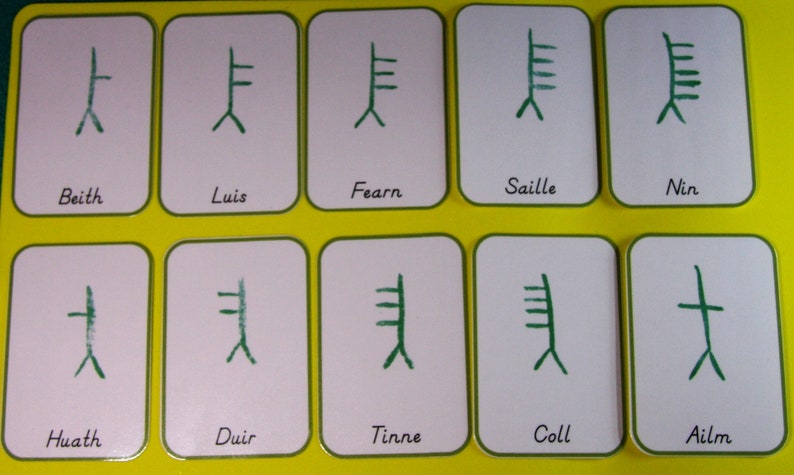 PRINTABLE Ogham 3 Part Cards. Ogham Flashcards. Ogham Nomenclature ...