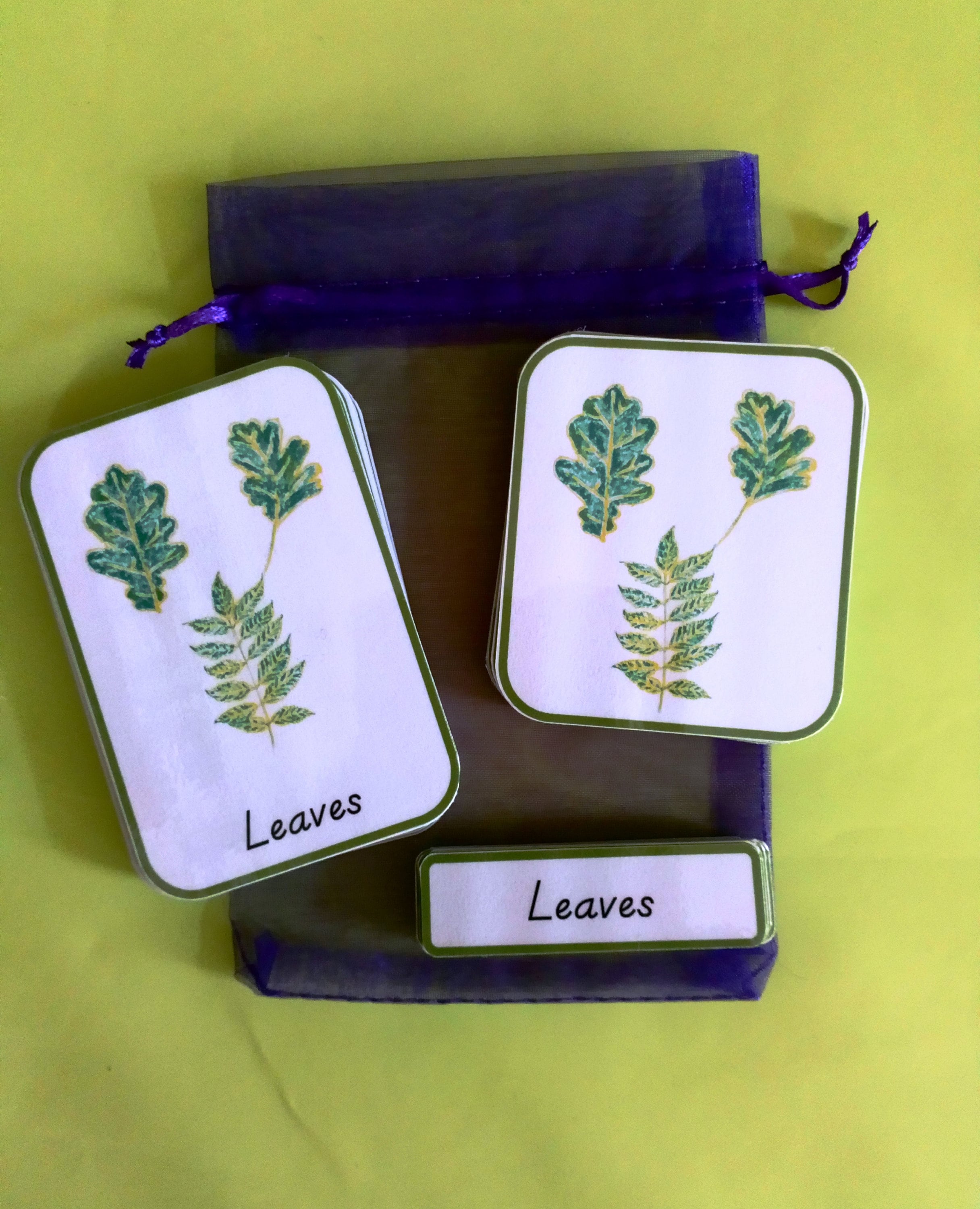 Tree Leaf 3 Part Cards Leaf Nomenclature Cards Tree - Etsy