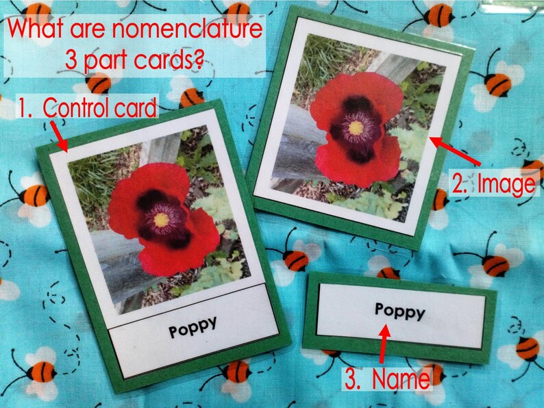 PRINTABLE Gemstone Nomenclature Cards, Gemstone 3 Part Cards, Gemstone ...