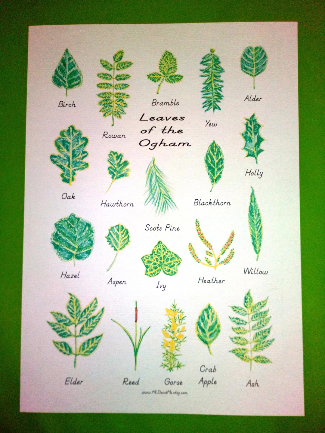 PRINTABLE Leaves of the Ogham Poster - Etsy