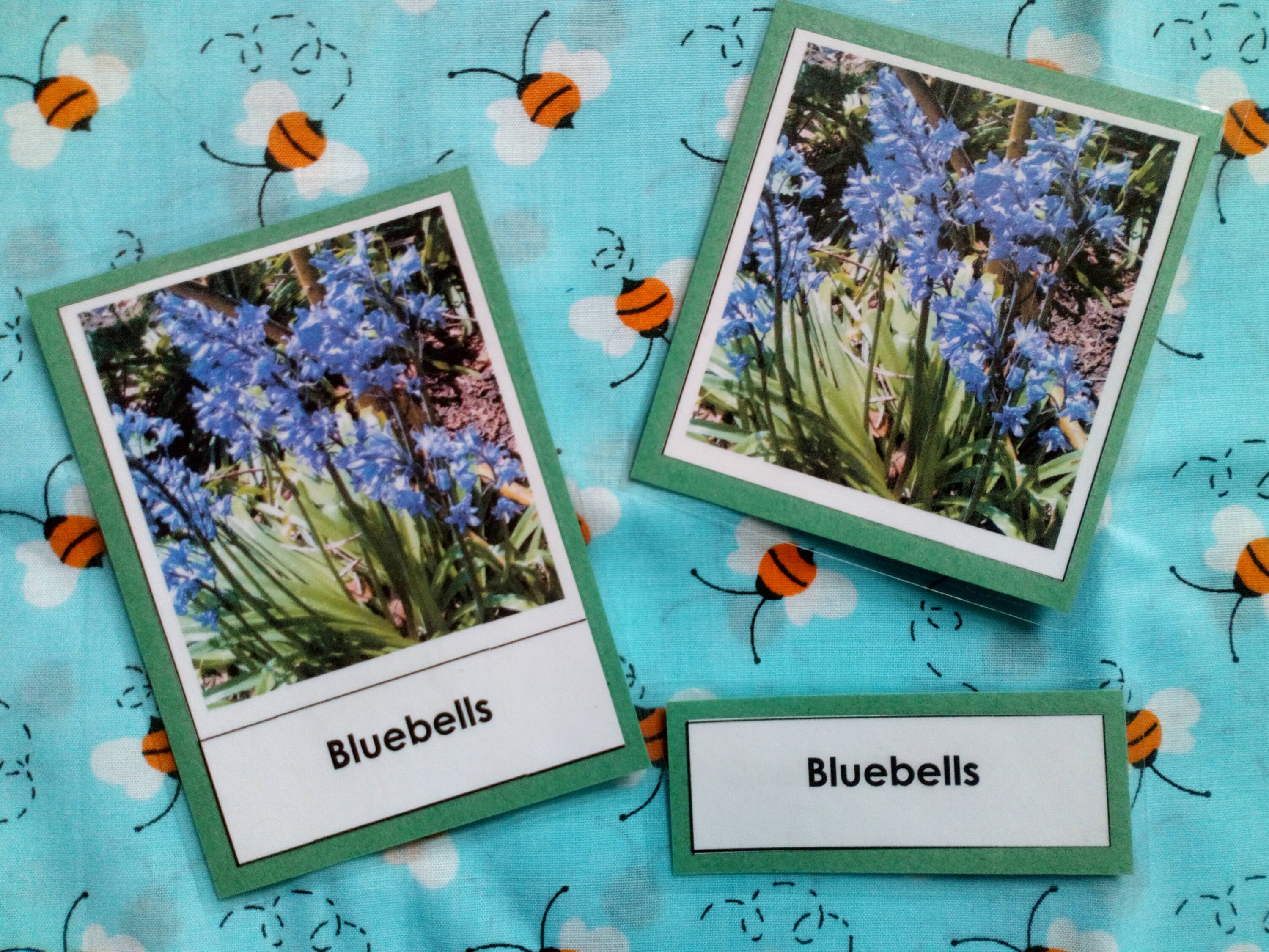 PRINTABLE Flowers 3-part Cards, 27 Montessori Nomenclature Cards ...