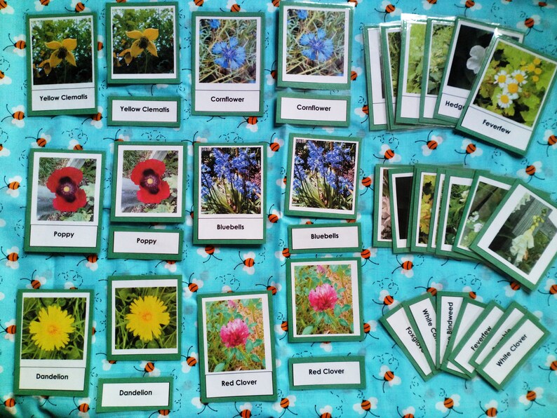 PRINTABLE Flowers 3-part Cards 27 Montessori Nomenclature - Etsy