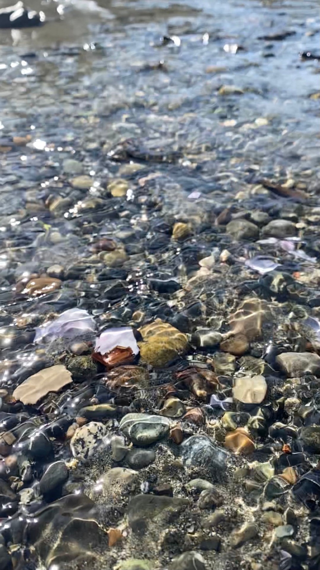 Water Footage, Video Download, Stock Video, Nature Footage, River Water ...