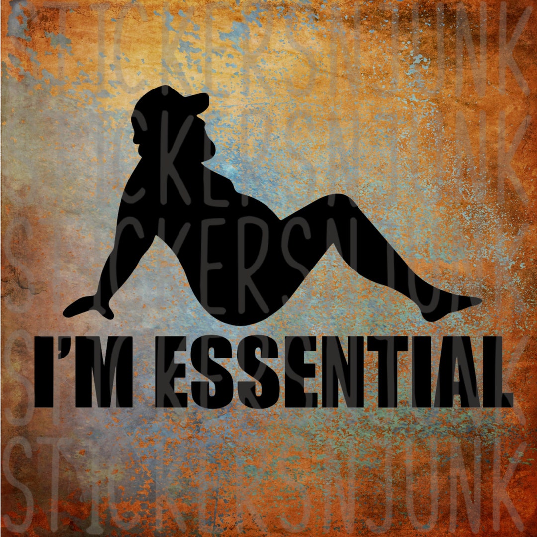 Truck Decals, Car Decal, Stickers, Trucker Decal, Truck Stickers, Humor ...