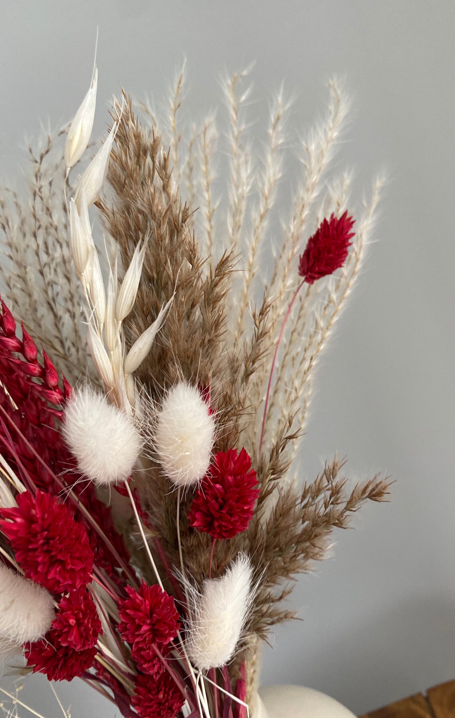 A Small Vibrant Red and Bleached White Dried Flower - Etsy