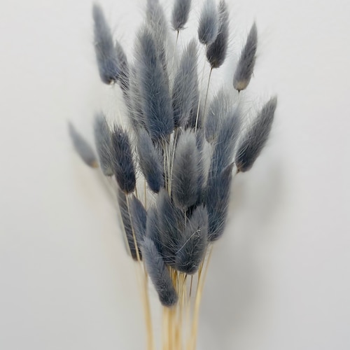 Dark Blue Bunny Tails - Etsy