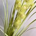 Pom Pom Grass green Floor or Table Decor - Etsy UK