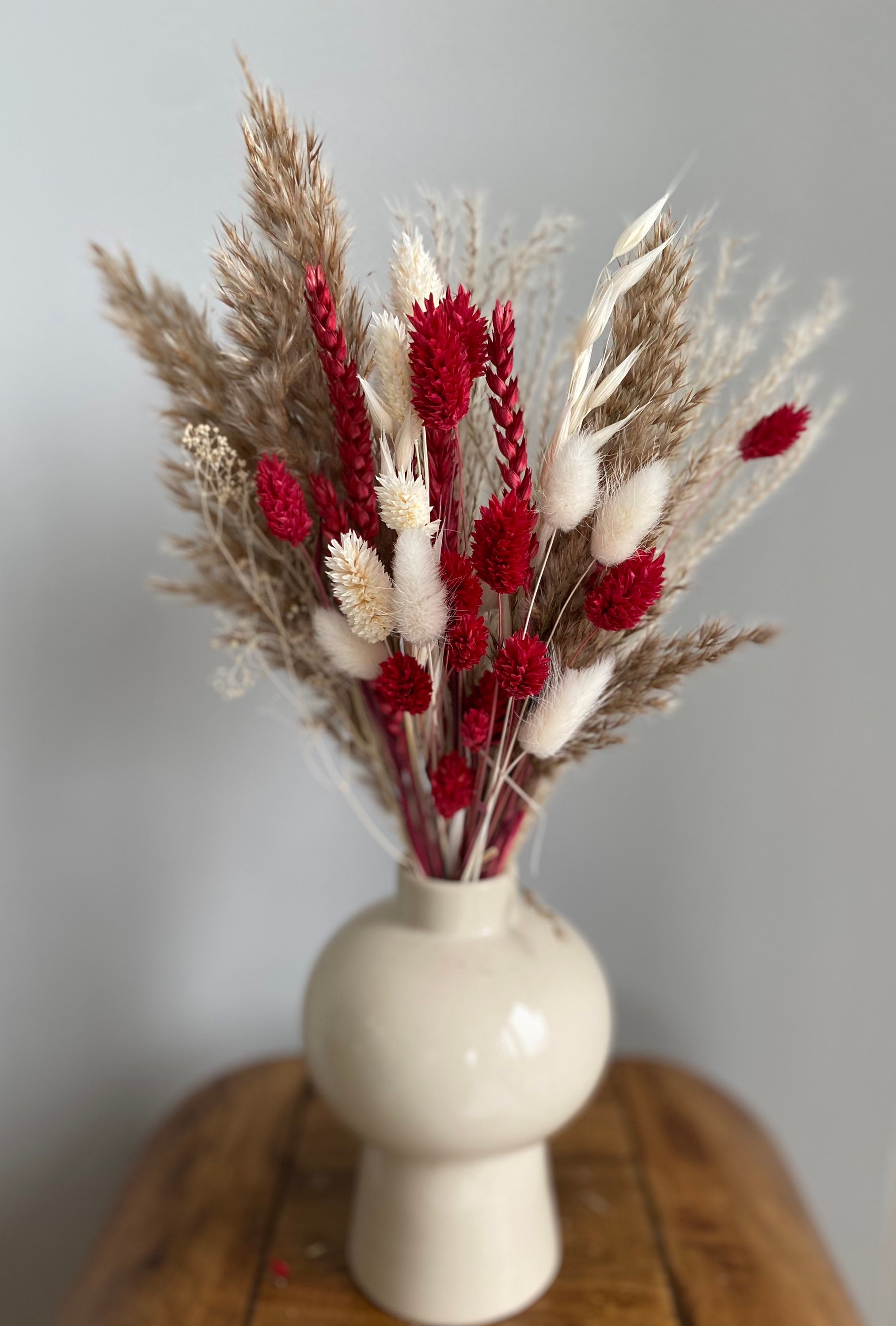 A Small Vibrant Red and Bleached White Dried Flower - Etsy