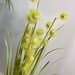 Pom Pom Grass green Floor or Table Decor - Etsy UK