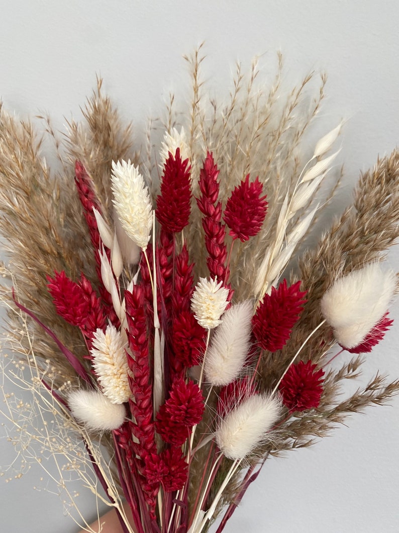 A Small Vibrant Red and Bleached White Dried Flower - Etsy