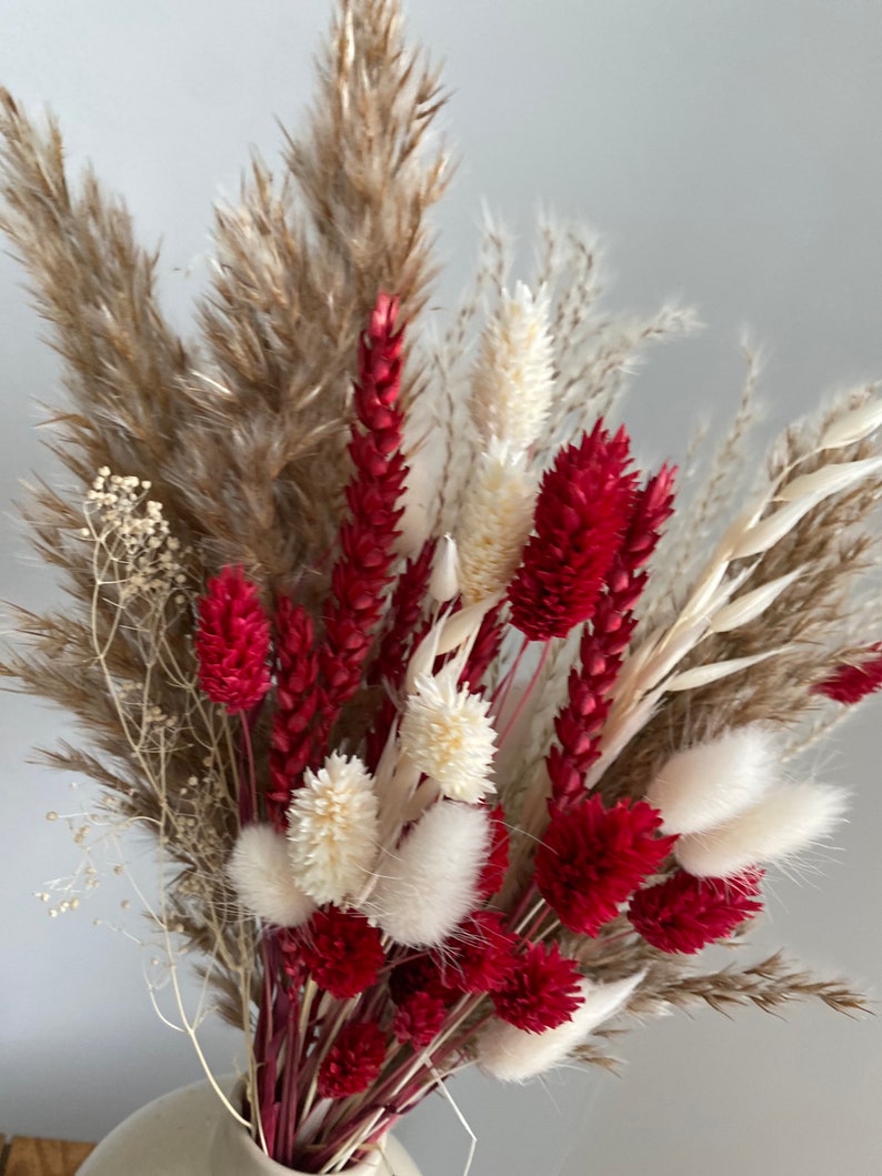 A Small Vibrant Red and Bleached White Dried Flower - Etsy