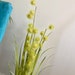 Pom Pom Grass green Floor or Table Decor - Etsy UK