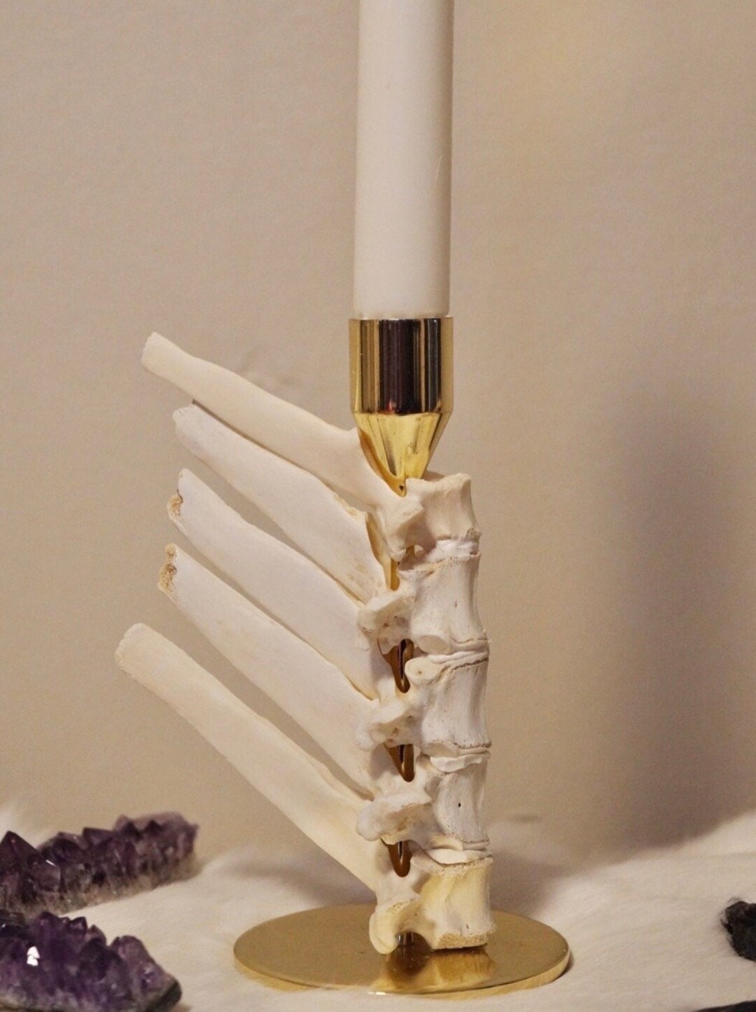 Goat Spine Candlestick Genuine Bone Vertebrae Black Candle Holder Small ...