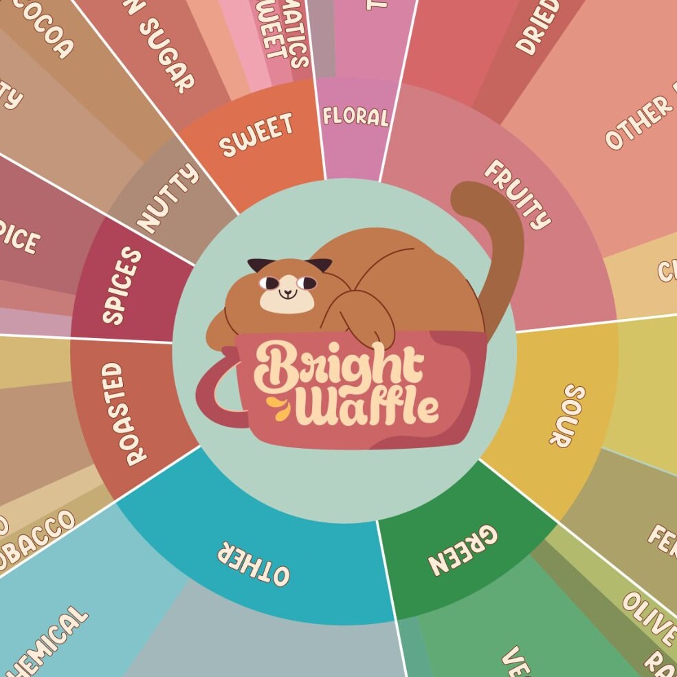 Coffee Flavor Wheel Art Print | Wall Art, Wall Decor, Barista Gift ...