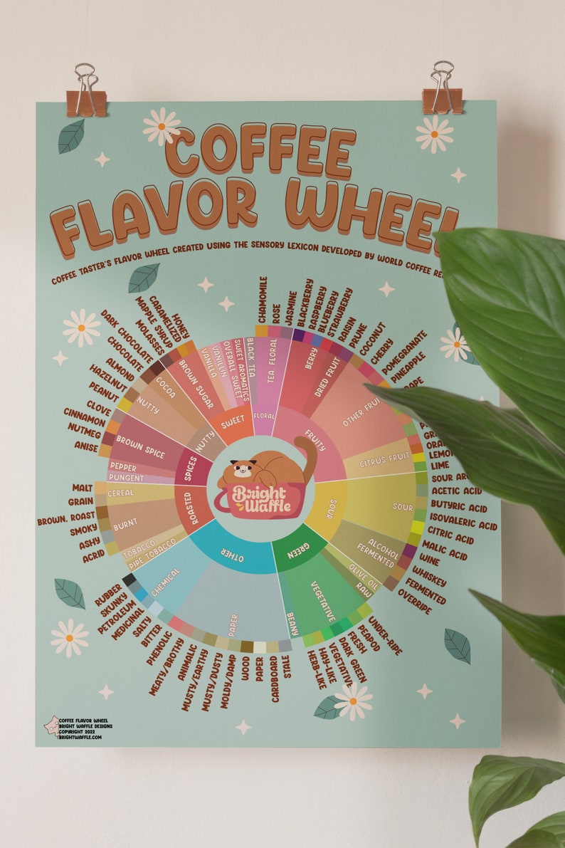 Coffee Flavor Wheel Art Print Wall Art, Wall Decor, Barista Gift ...