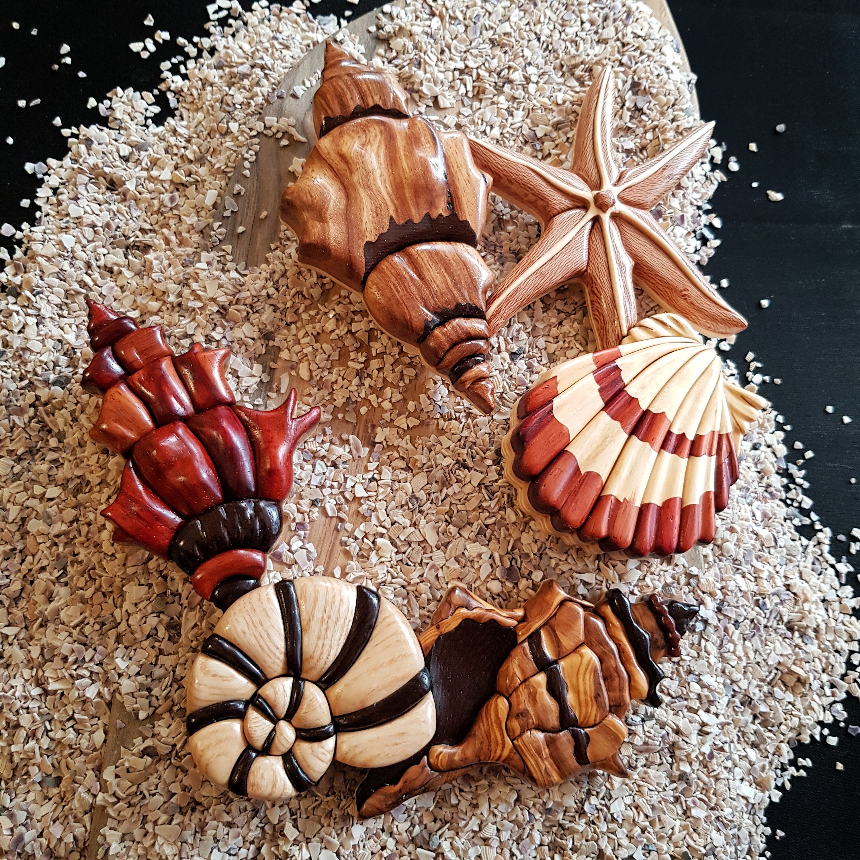 Seashells and Starfish Intarsia Patterns: Coastal Home Decor (PDF ...