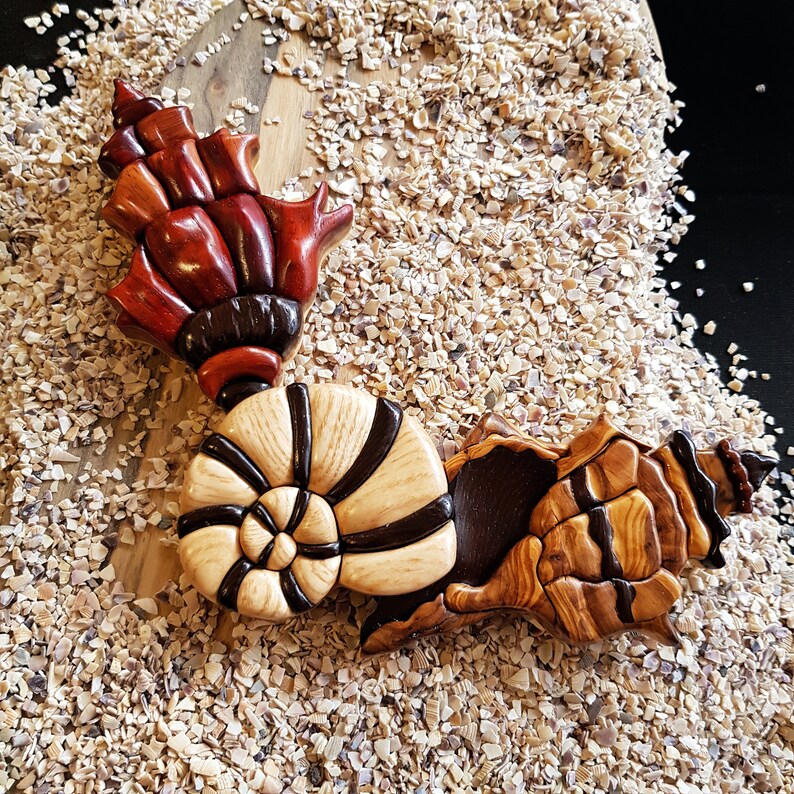 Seashells and Starfish Intarsia Patterns: Coastal Home Decor (PDF ...