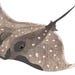 Spotted Stingray Intarsia Pattern: Realistic Woodworking Template (PDF ...