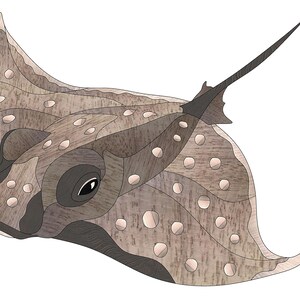 Spotted Stingray Intarsia Pattern: Realistic Woodworking Template (PDF ...