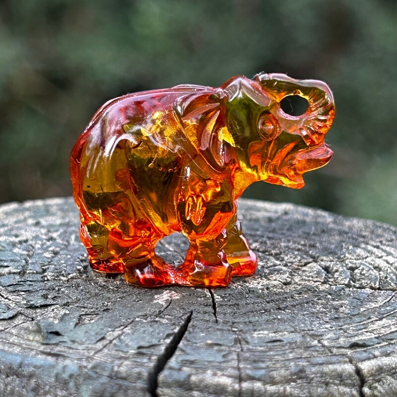 Carved Amber - Etsy