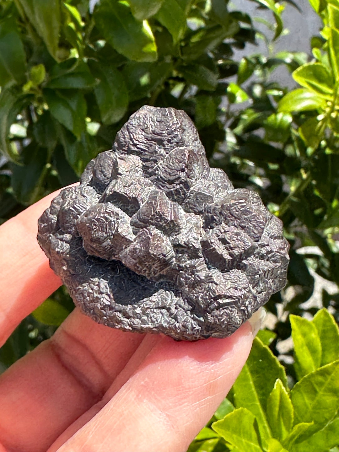Rare Prophecy Stone From Sahara Desert, Egypt, Unusual and Unique - Etsy