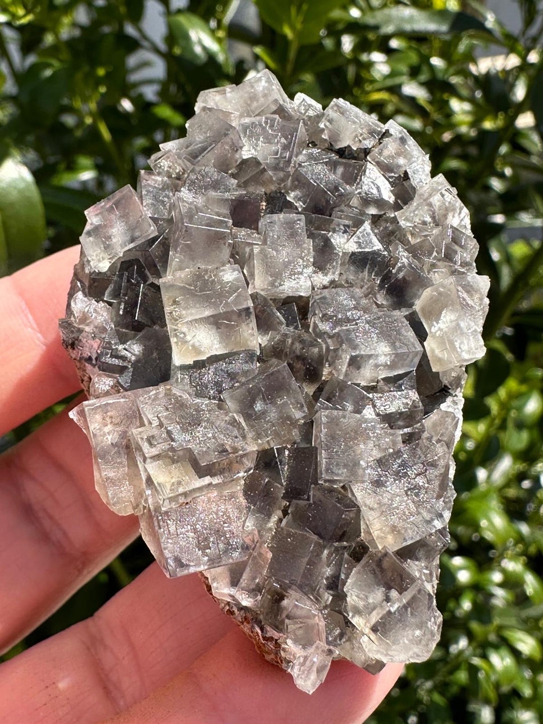 English Fluorite With Siderate, Lady Annabella Mine, the Bull Vein ...