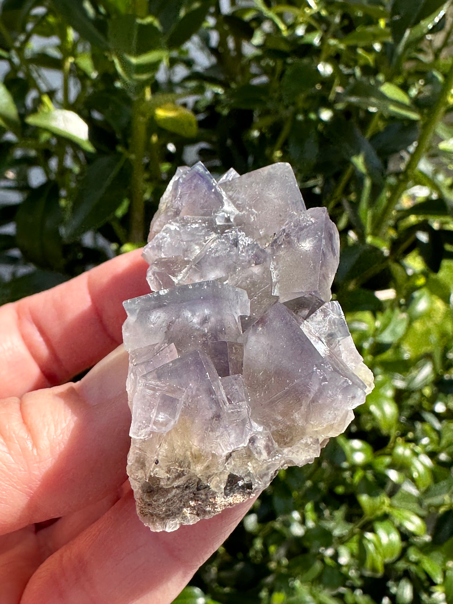 English Fluorite - Lady Annabella Mine, Eastgate, Weardale, Co Durham ...