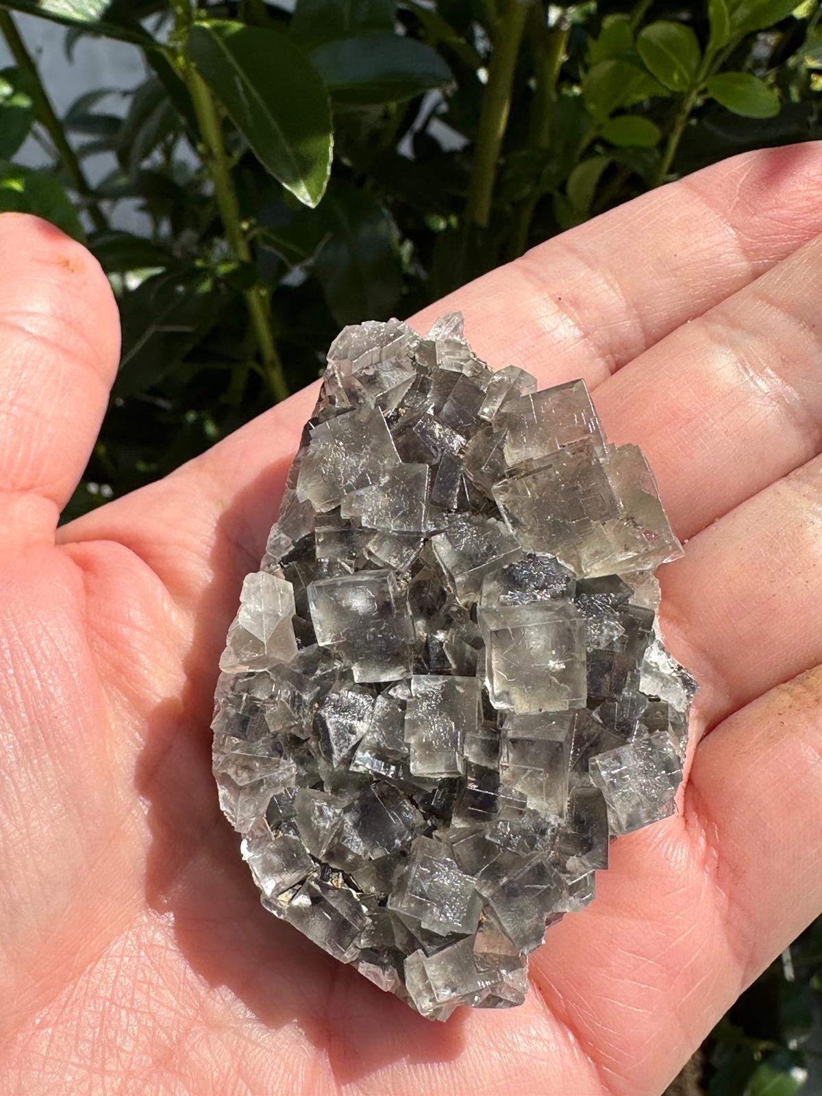 English Fluorite With Siderate, Lady Annabella Mine, the Bull Vein ...