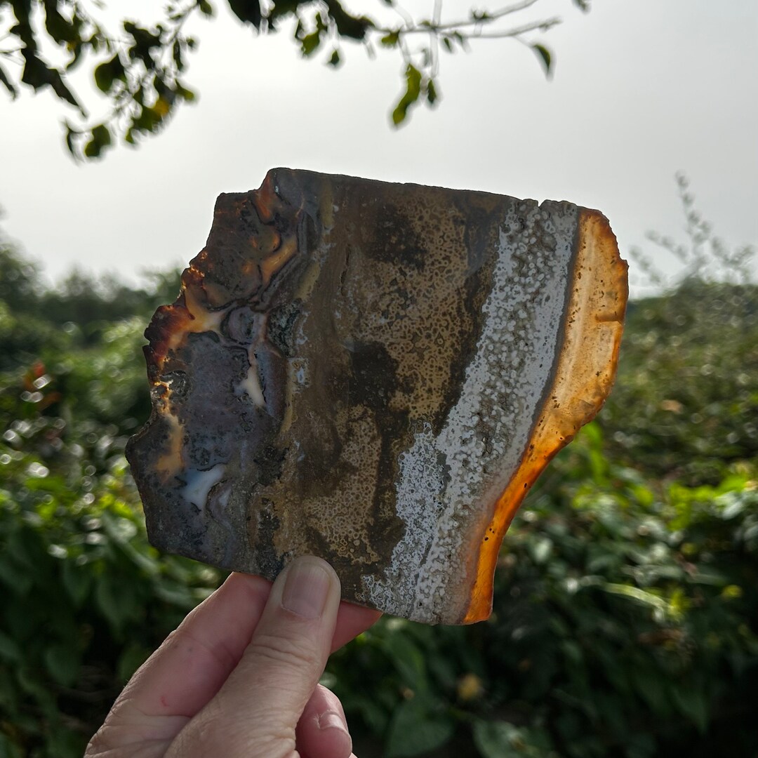 Fabulous River Jasper Slab, Polished Slice From Indonesia . Chalcedony ...