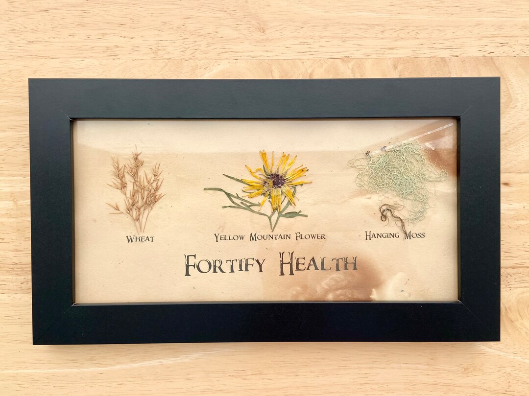Fortify Health Potion Hanging Wall Art, Skyrim Video Game Pressed ...