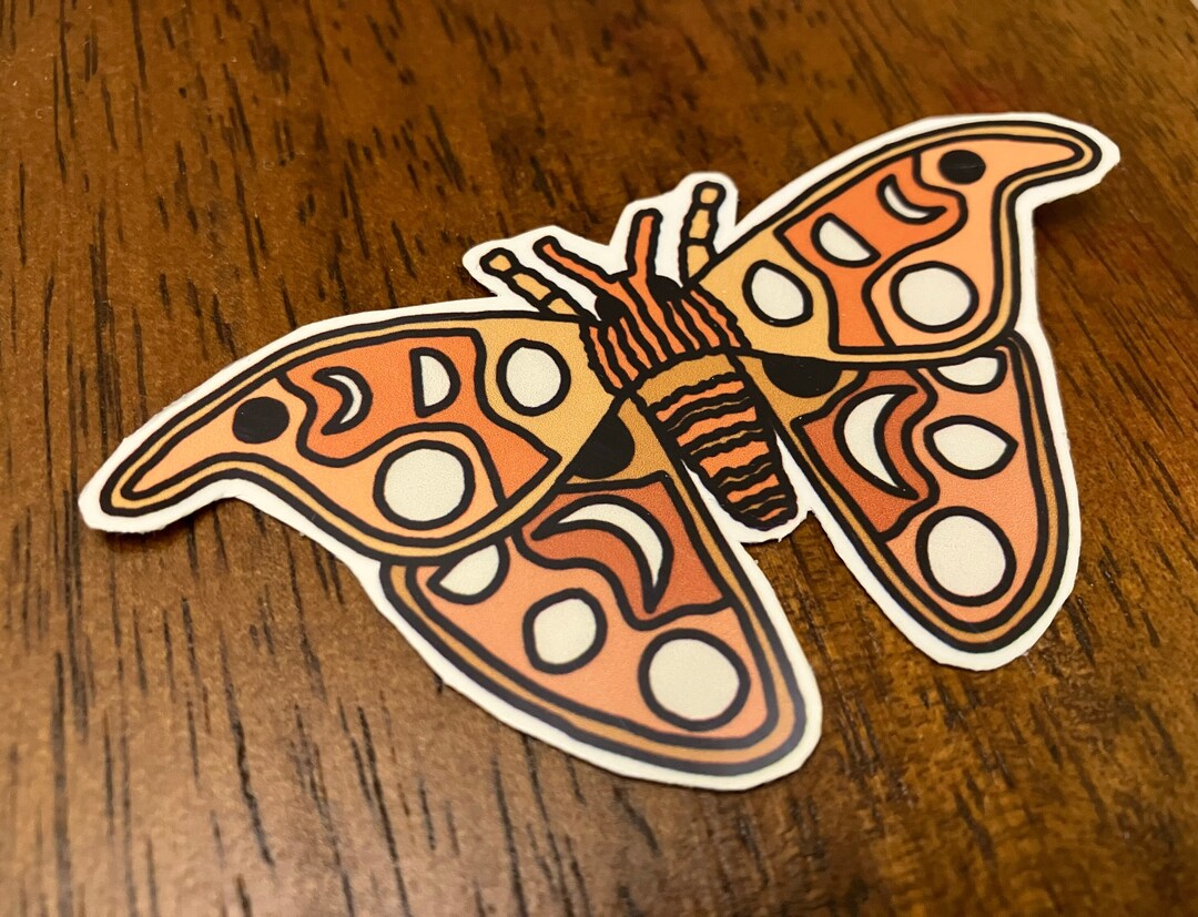 Lunar Phases Moth Sticker - Moon Phase Insect Stickers - Etsy