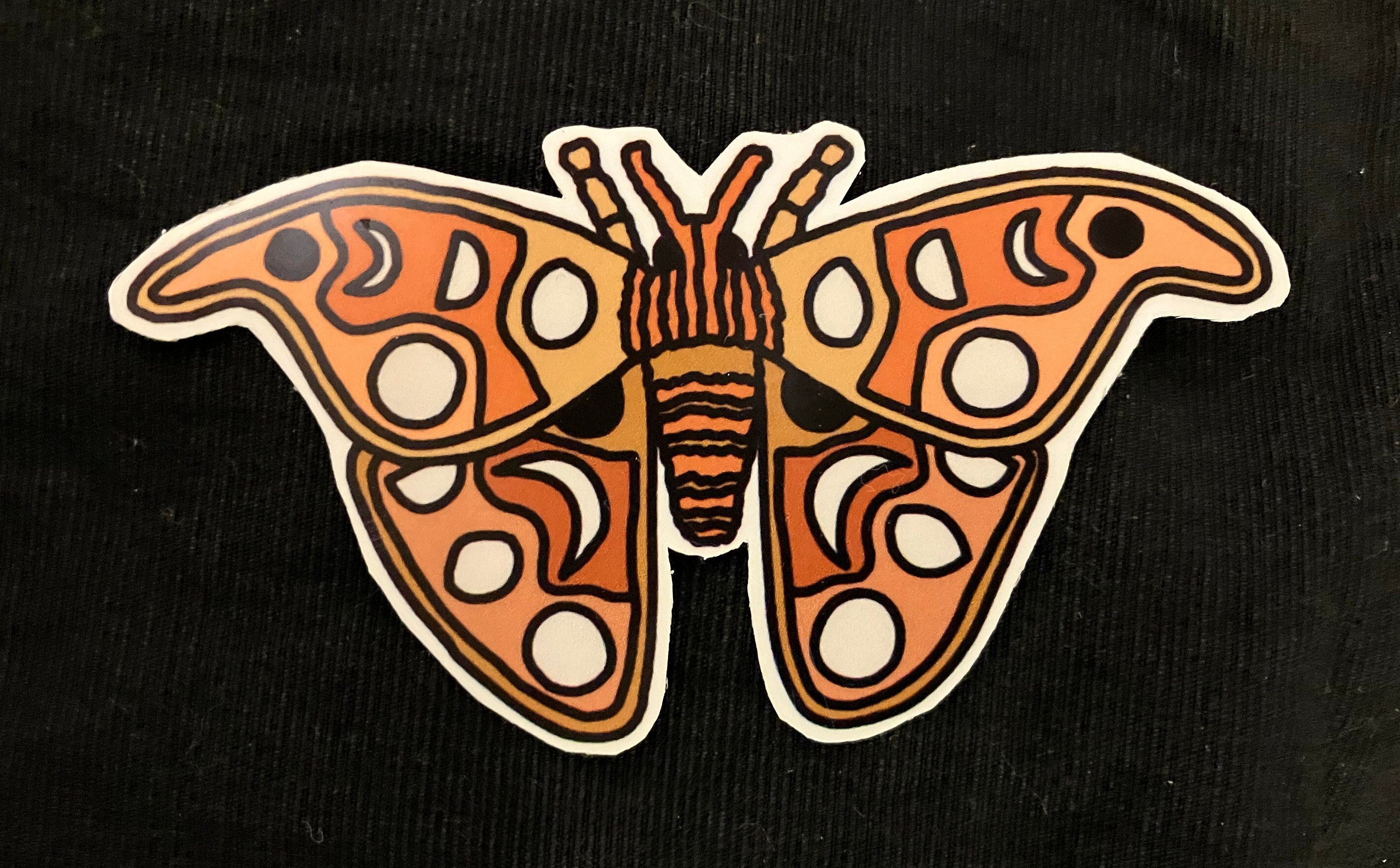 Lunar Phases Moth Sticker Moon Phase Insect Stickers - Etsy
