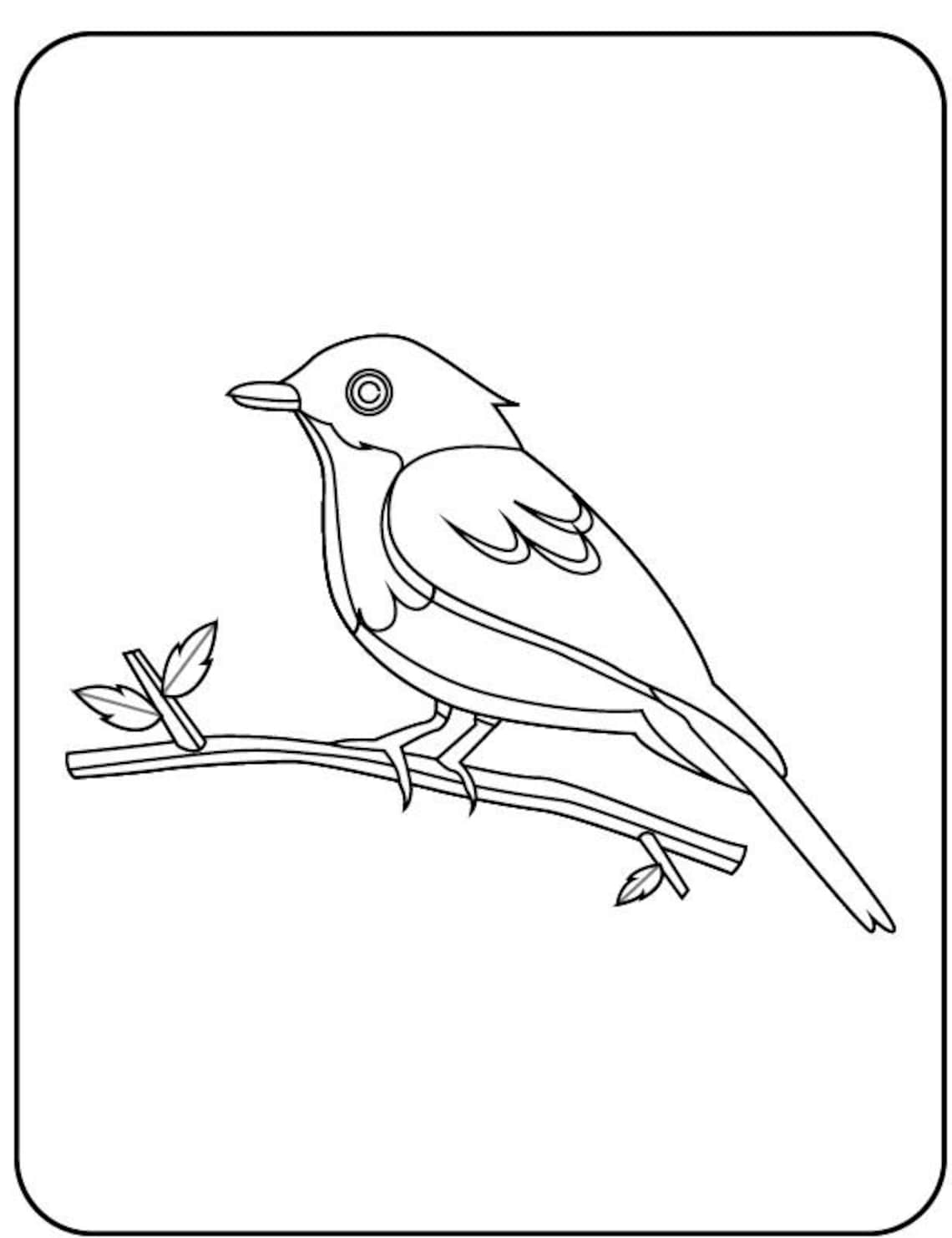 60 Easy Bird Coloring Pages for Kids, Toddlers, Preschoolers Toddlers ...