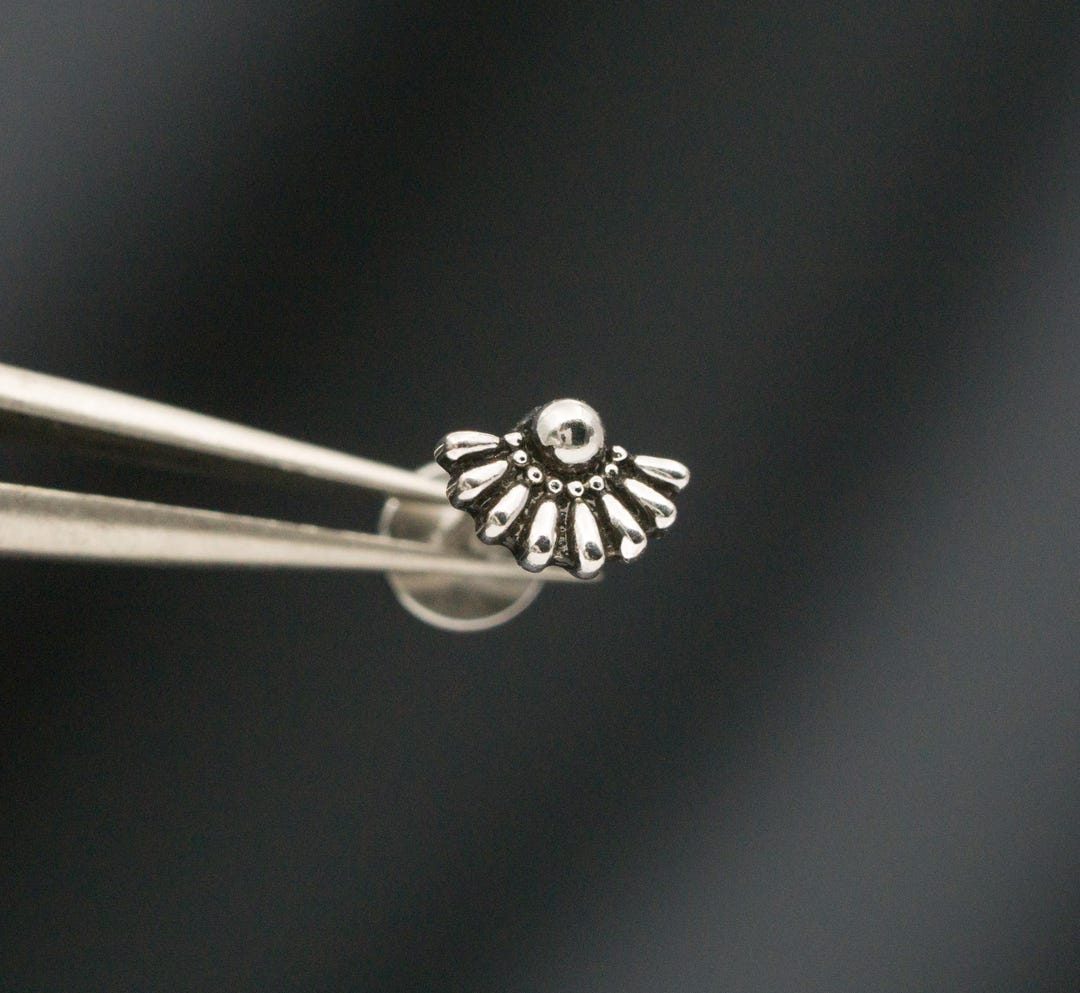 Scallop Piercing, Dark Patina: Threadless Tragus Cartilage Helix Conch ...